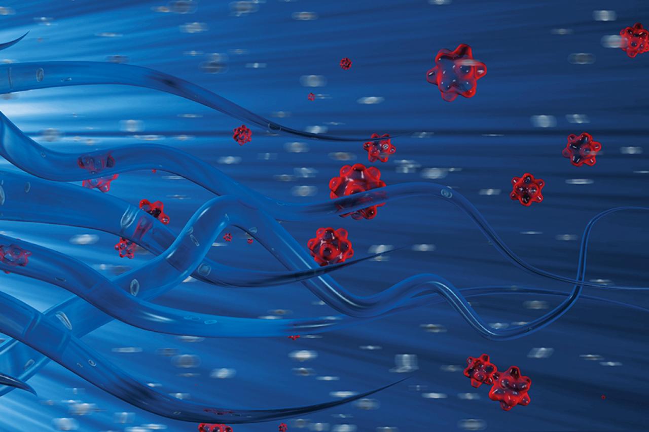 Büyük Şirketler Düştüğünde Girişimcilik Yükselir - Harvard Business ...