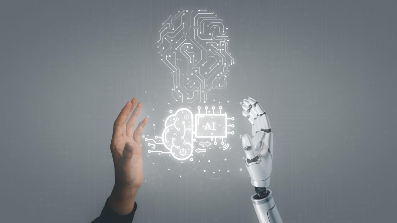 Sora Nedir? - Harvard Business Review Türkiye